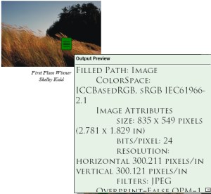 How to determine the dpi of a PDF file | Allta Media, LLC